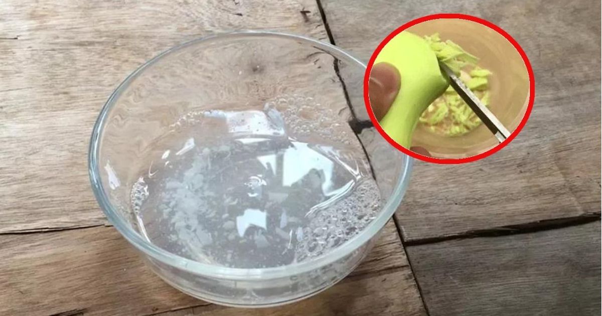 Trộn xà phòng với đường rồi đặt trong nhà, công dụng mang lại khiến ...