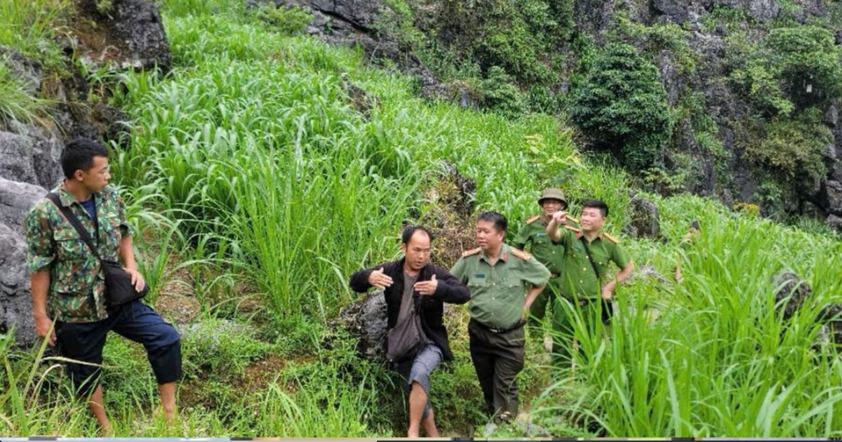 Rời bệnh viện lúc 2h sáng, người đàn ông được tìm thấy trong rừng sau ...