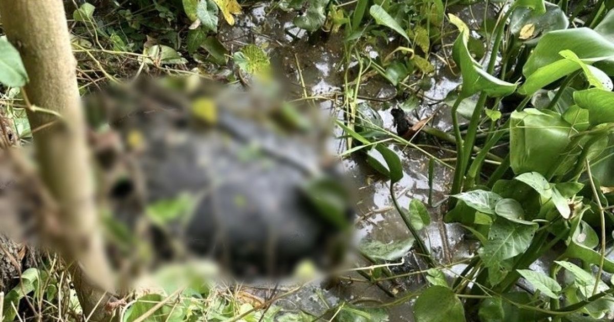 Vụ sát hại người tình, phi tang xác ở Tây Ninh: Lời khai ban đầu của nghi phạm, hé lộ bi kịch ...